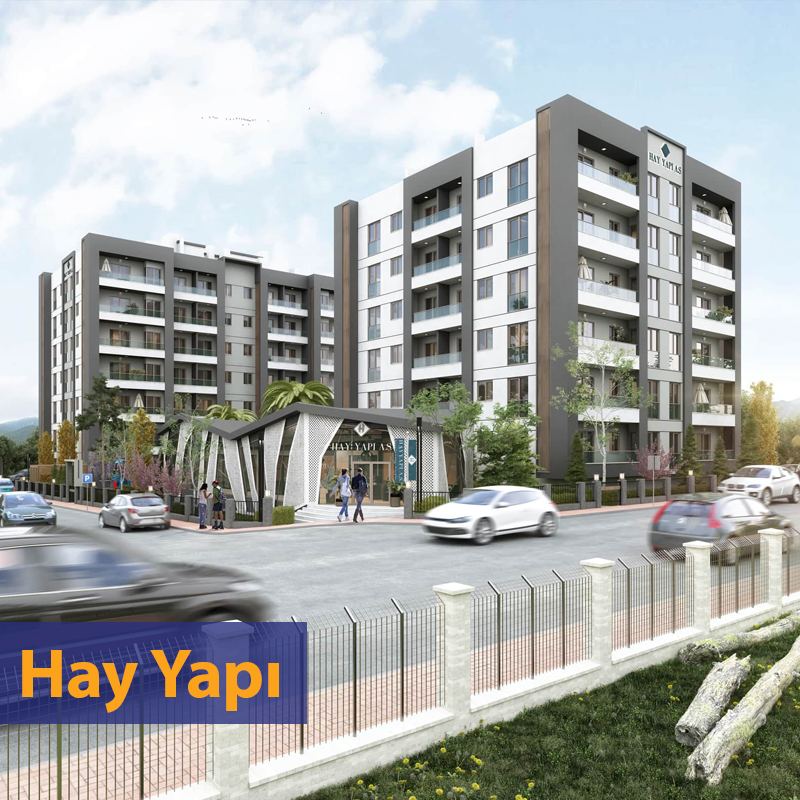 Hay yapı